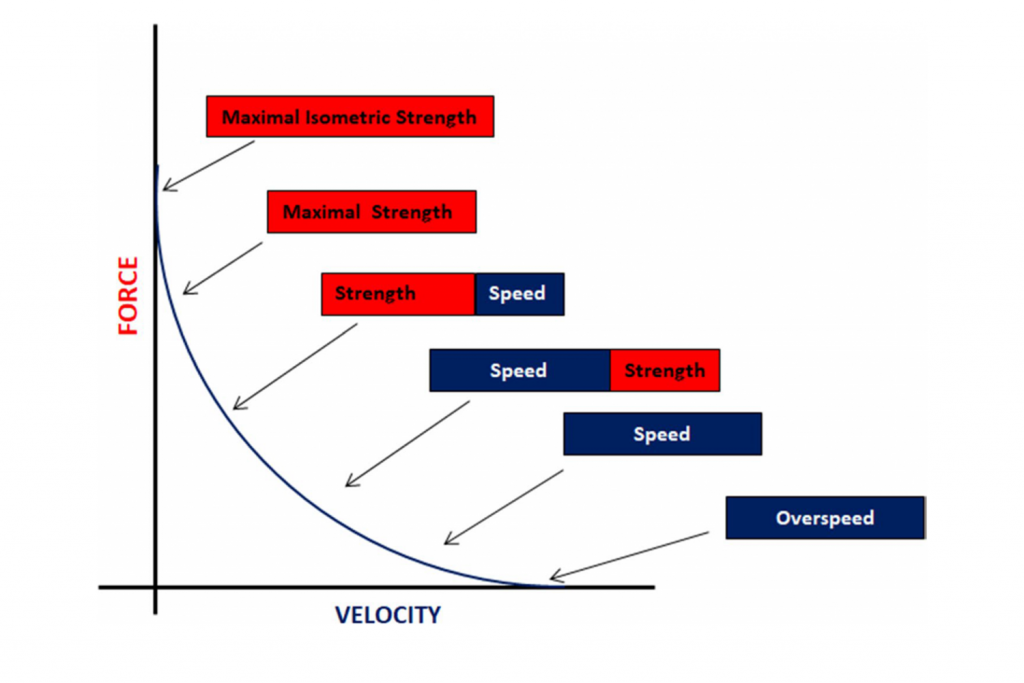 Late Stage ACL Rehab: Using Speed-Strength Continuum