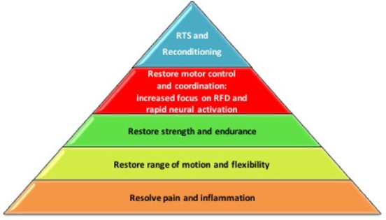 Late Stage ACL Rehab: Using Speed-Strength Continuum
